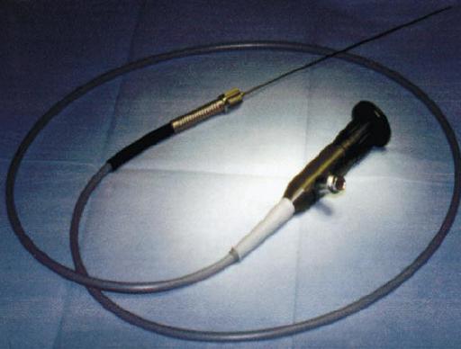 BME240-Kniazeva-Home